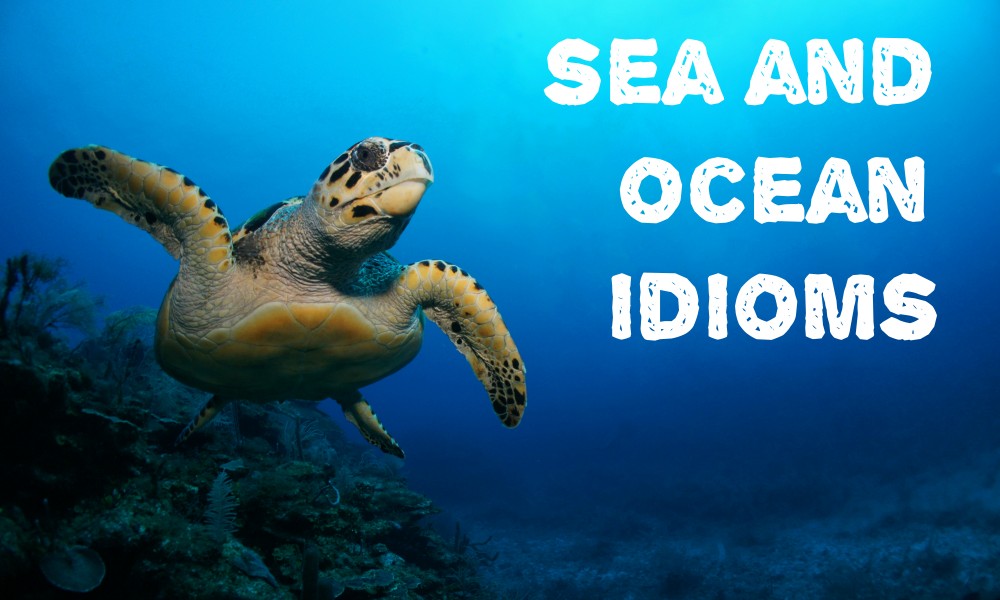 sea-and-ocean-idioms-5-minuti-d-inglese-inglese-gratis-ogni-giorno