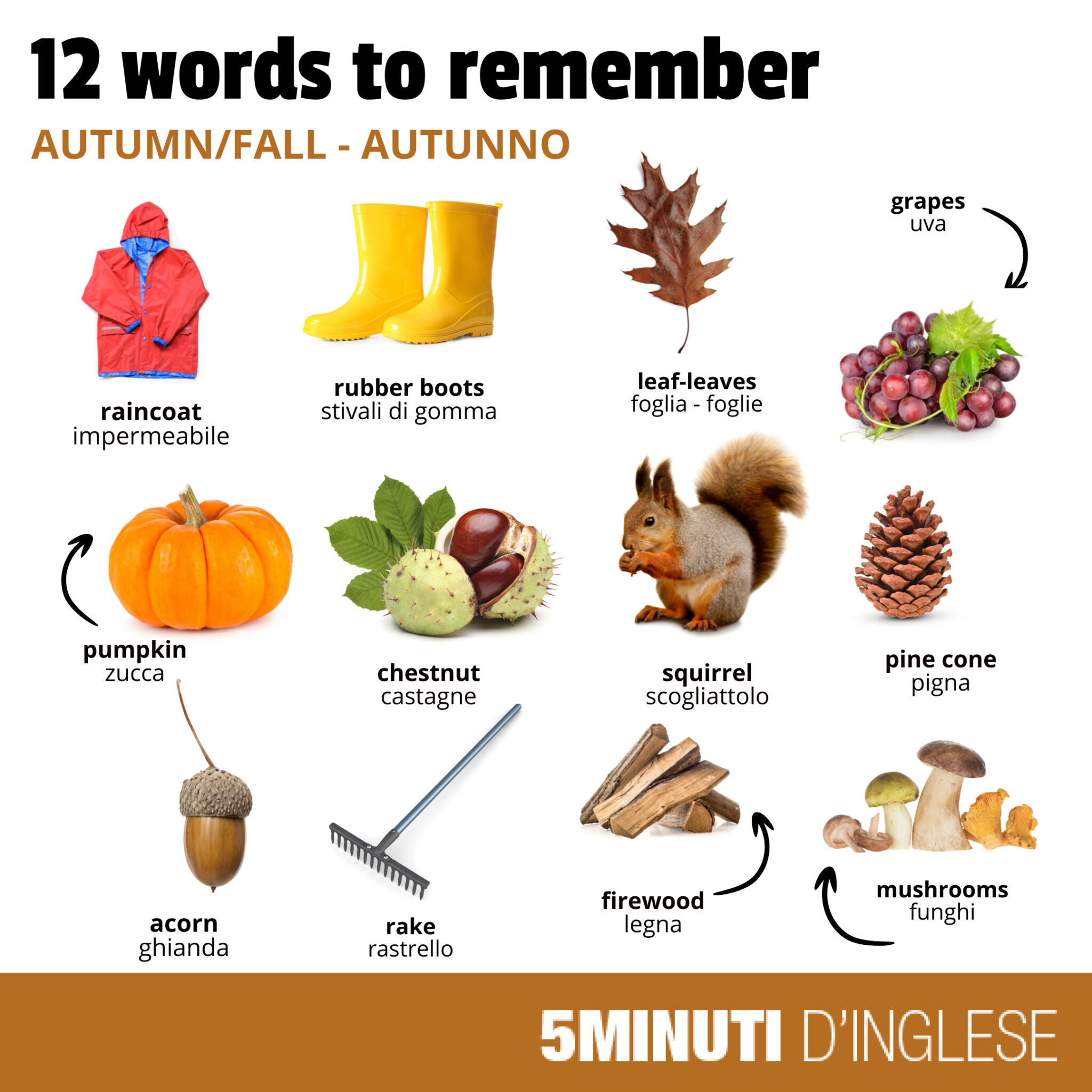VOCABOLARIO A2-B1: Autumn/Fall vocabulary